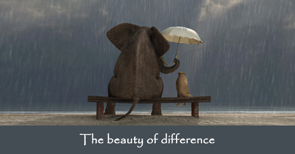 The beauty of difference - Farendole